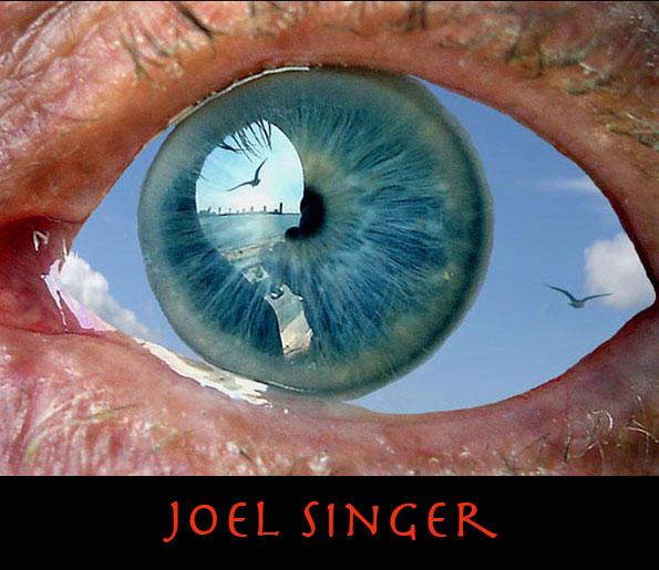 Joel Singer, Artist